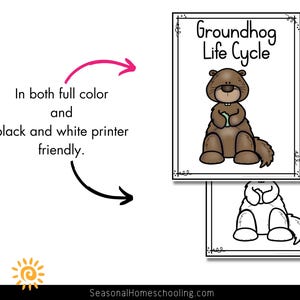 Groundhog Life Cycle Activity Pack – Fun and Educational Resource for ...