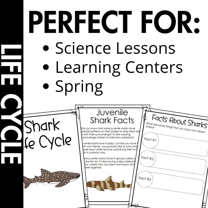 Shark Life Cycle Printable | Science Activities for Kids | Homeschool ...