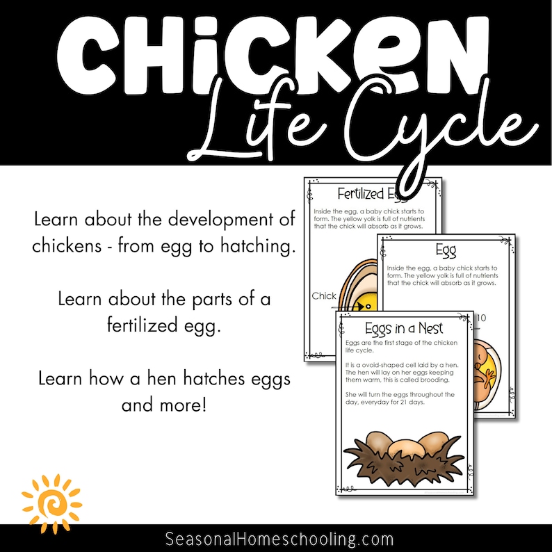 Chicken Life Cycle Printables for Homeschool and Classroom Use - Etsy