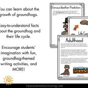 Groundhog Life Cycle Activity Pack – Fun and Educational Resource for ...