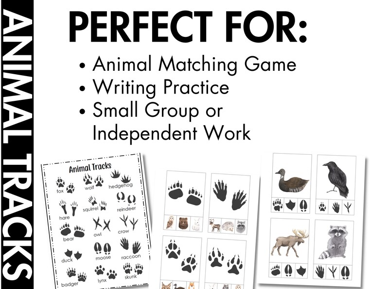 Discover Wildlife With Animal Tracks Clip Cards | Fun & Interactive ...
