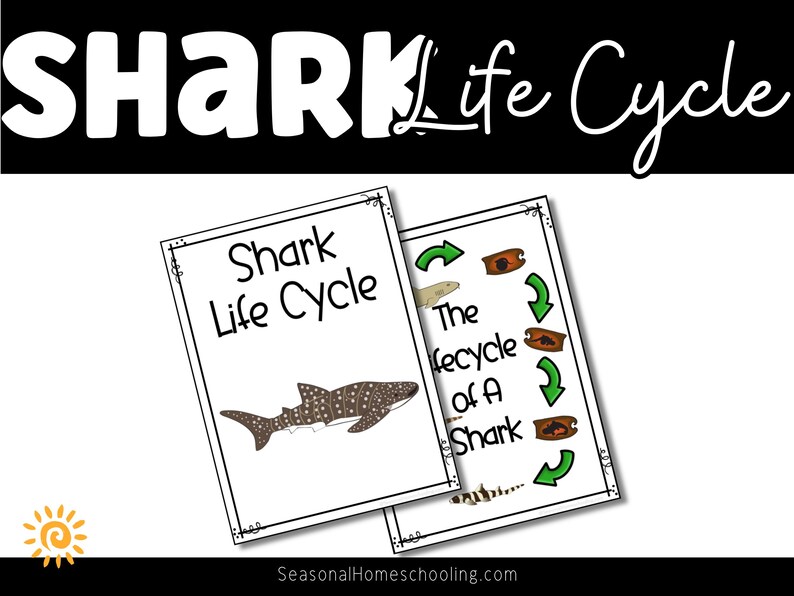 Shark Life Cycle Printable | Science Activities for Kids | Homeschool ...