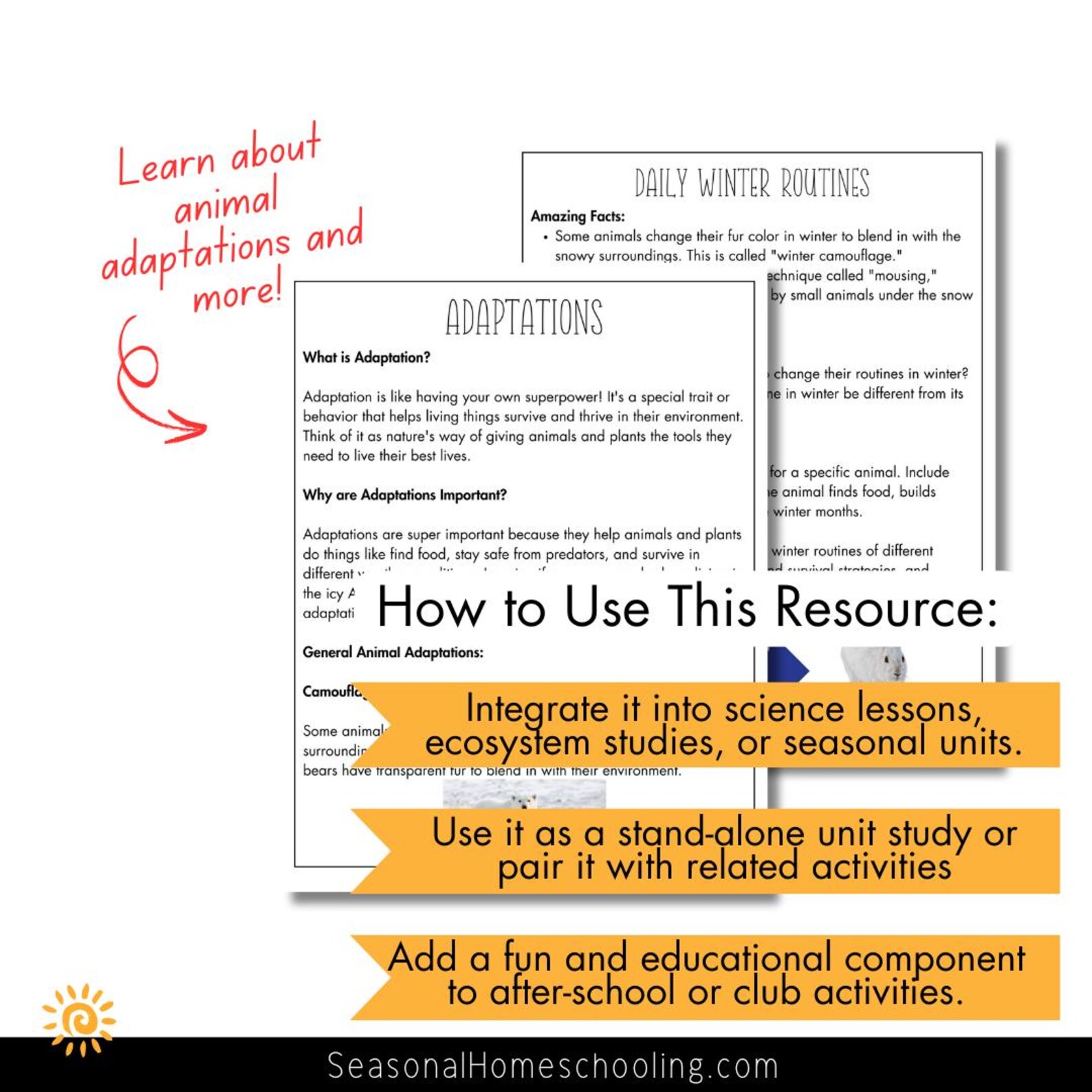 Winter Animal Habitats and Adaptations Unit Arctic, Taiga & Antarctic ...