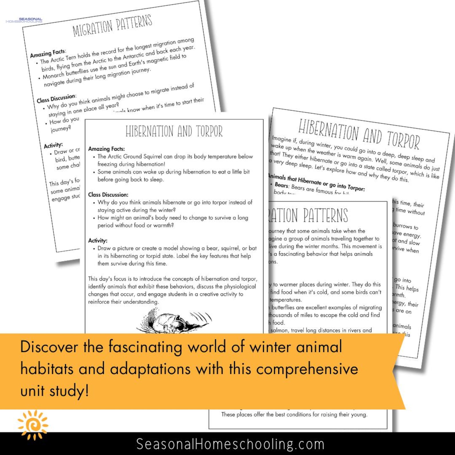 Winter Animal Habitats and Adaptations Unit Arctic, Taiga & Antarctic ...