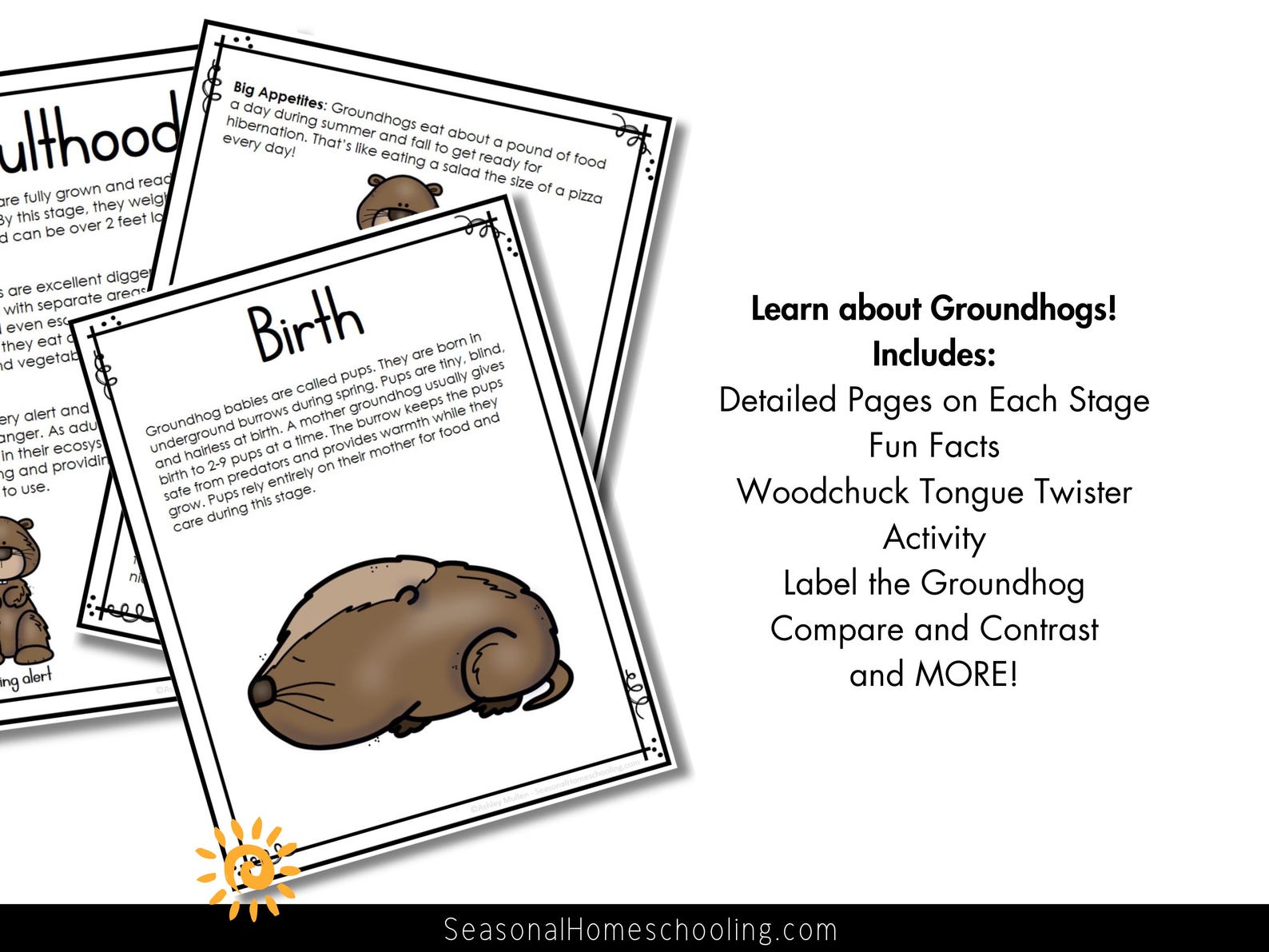 Groundhog Life Cycle Activity Pack – Fun and Educational Resource for ...