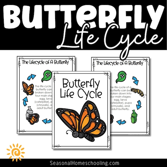 Hojas De Trabajo Sobre El Ciclo De Vida De Una Mariposa