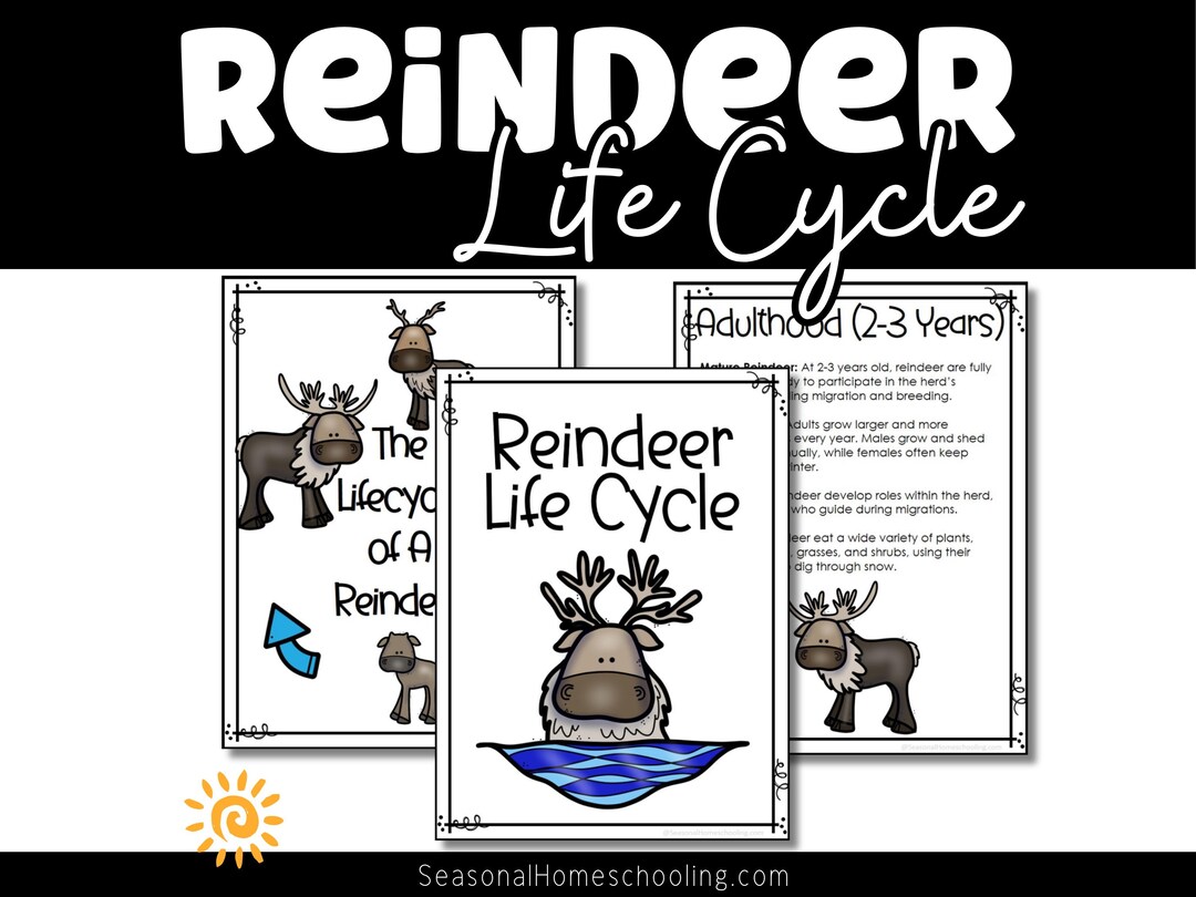 Reindeer Life Cycle Unit | Interactive Science & Writing Activities for ...