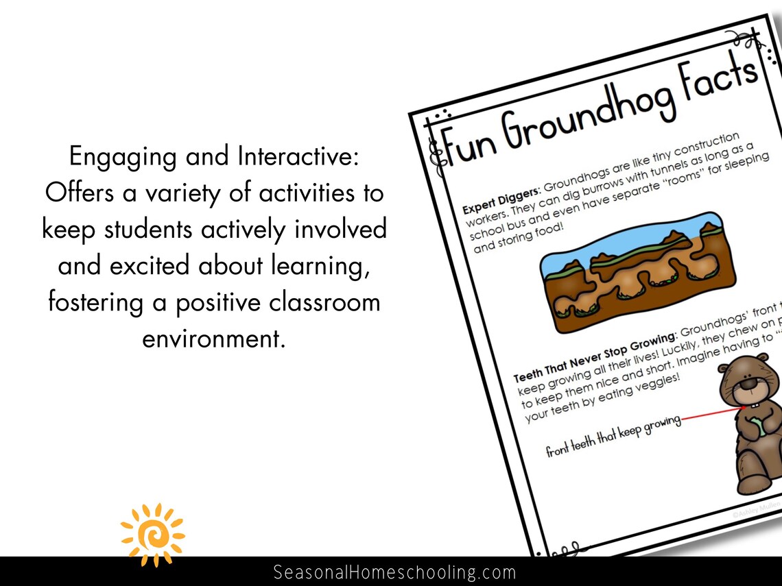 Groundhog Life Cycle Activity Pack – Fun and Educational Resource for ...