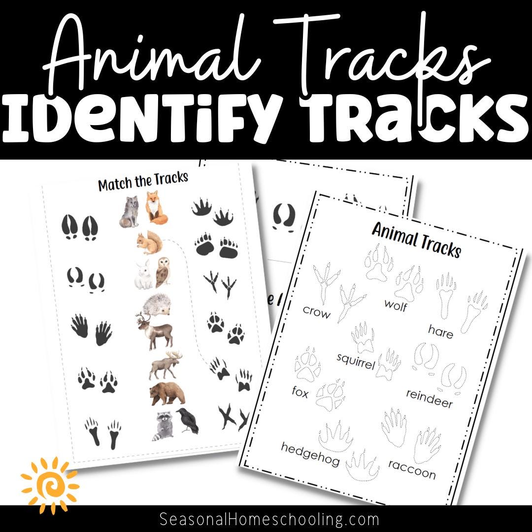Animal Tracks Activity Pack: Educational Printable - Etsy