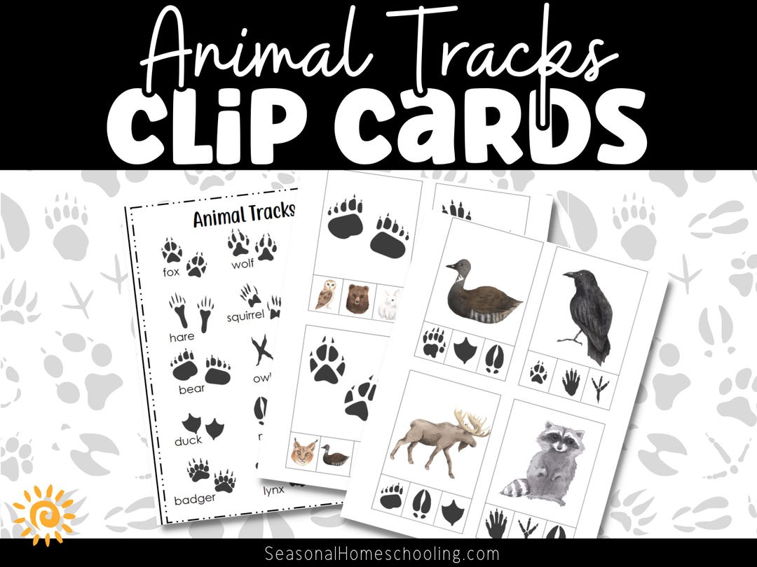 Discover Wildlife With Animal Tracks Clip Cards | Fun & Interactive ...