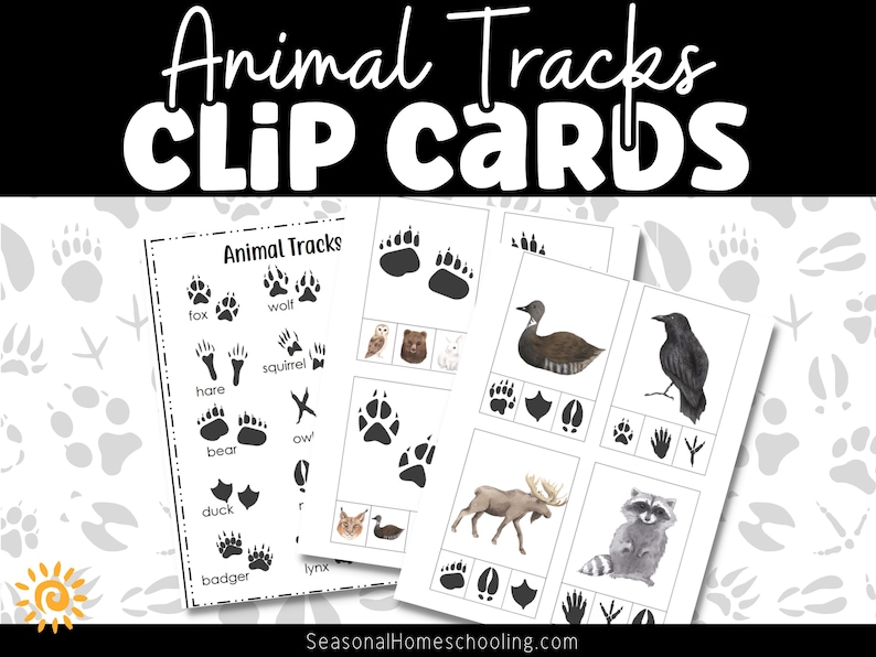 Discover Wildlife With Animal Tracks Clip Cards | Fun & Interactive ...
