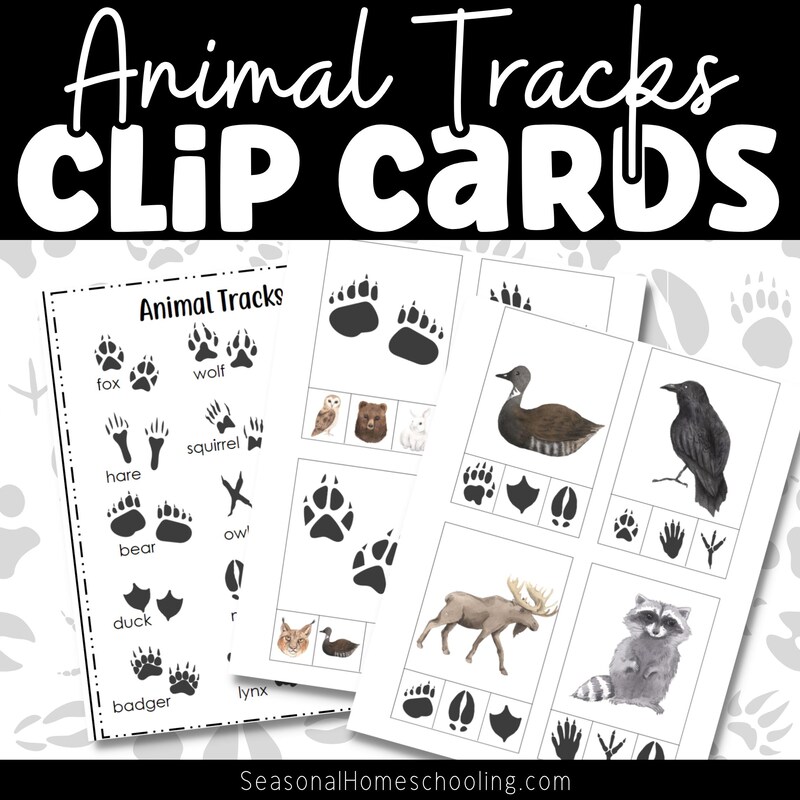 Animal Tracks - Etsy