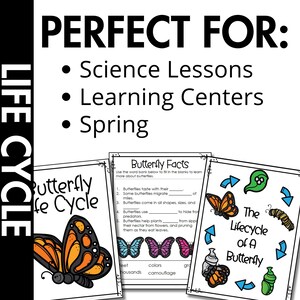 Butterfly Life Cycle - Life Cycle of A Butterfly Worksheets With Cut ...