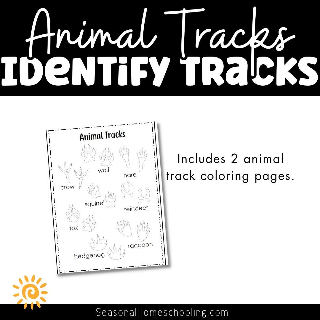 Animal Tracks Activity Pack: Educational Printable - Etsy
