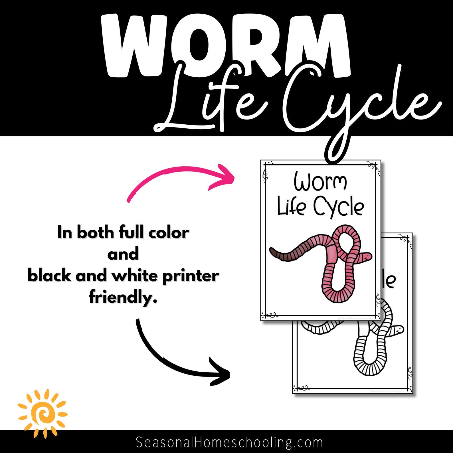 Worm Life Cycle Worksheets – Printable Science Activities for Kids - Etsy