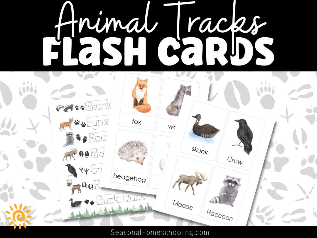 Animal Tracks Flash Cards - Etsy