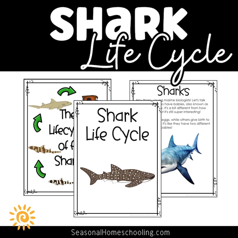 Shark Life Cycle Printable | Science Activities for Kids | Homeschool ...