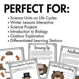 Groundhog Life Cycle Activity Pack – Fun and Educational Resource for ...