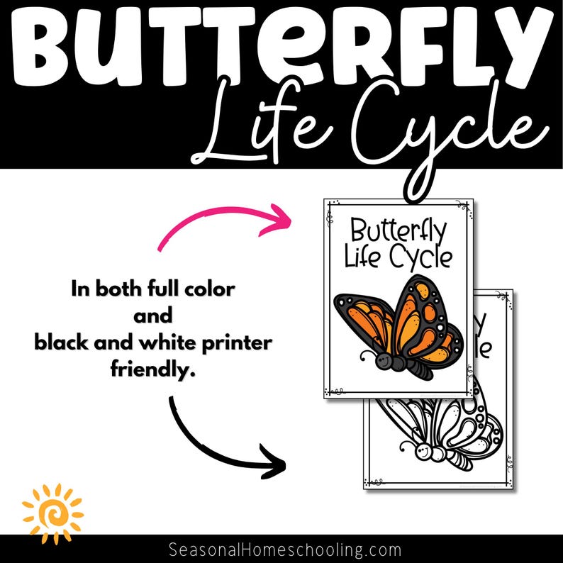 Butterfly Life Cycle Worksheets: Cut & Paste Printable - Etsy