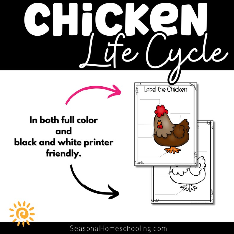 Chicken Life Cycle Printables for Homeschool and Classroom Use - Etsy
