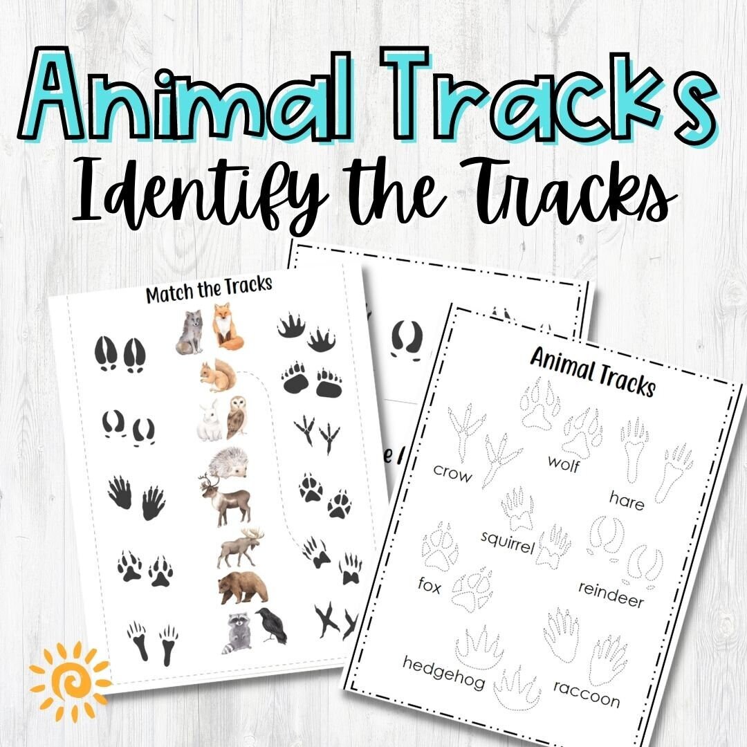 Animal Footprints Identification