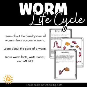 Worm Life Cycle Worksheets – Printable Science Activities for Kids - Etsy