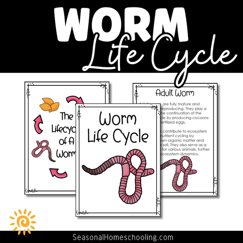Worm Life Cycle Worksheets – Printable Science Activities for Kids - Etsy