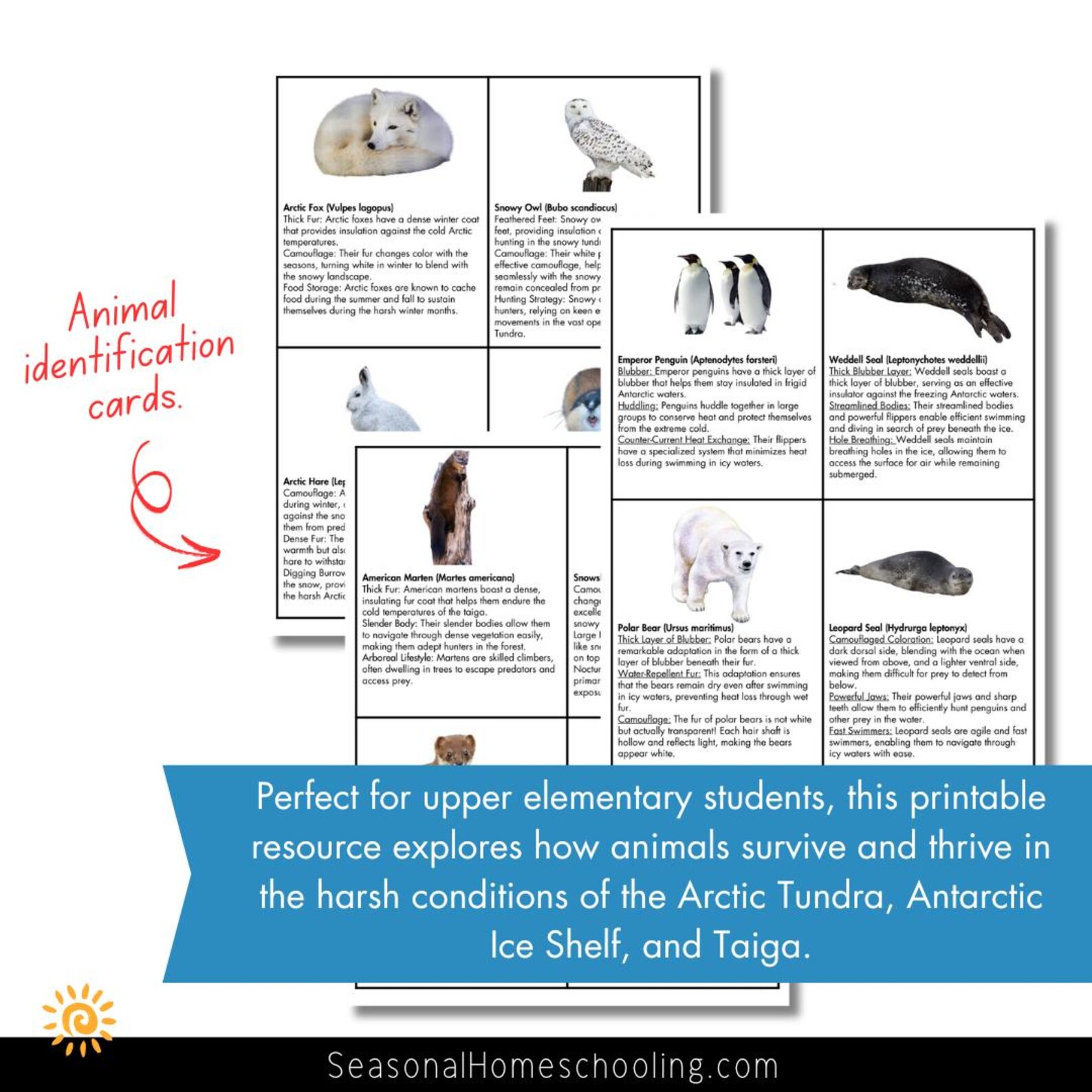 Winter Animal Habitats and Adaptations Unit Arctic, Taiga & Antarctic ...