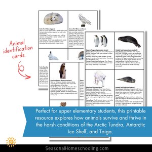 Winter Animal Habitats and Adaptations Unit Arctic, Taiga & Antarctic ...