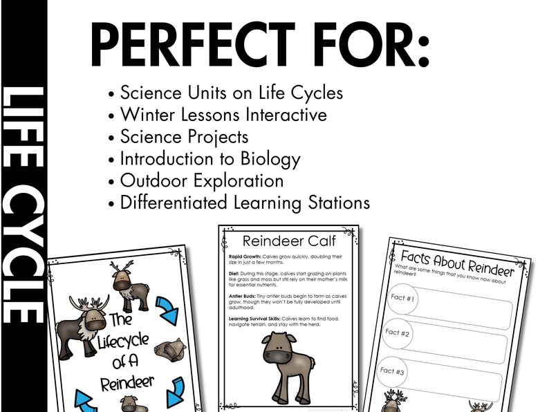 Reindeer Life Cycle Unit | Interactive Science & Writing Activities for ...
