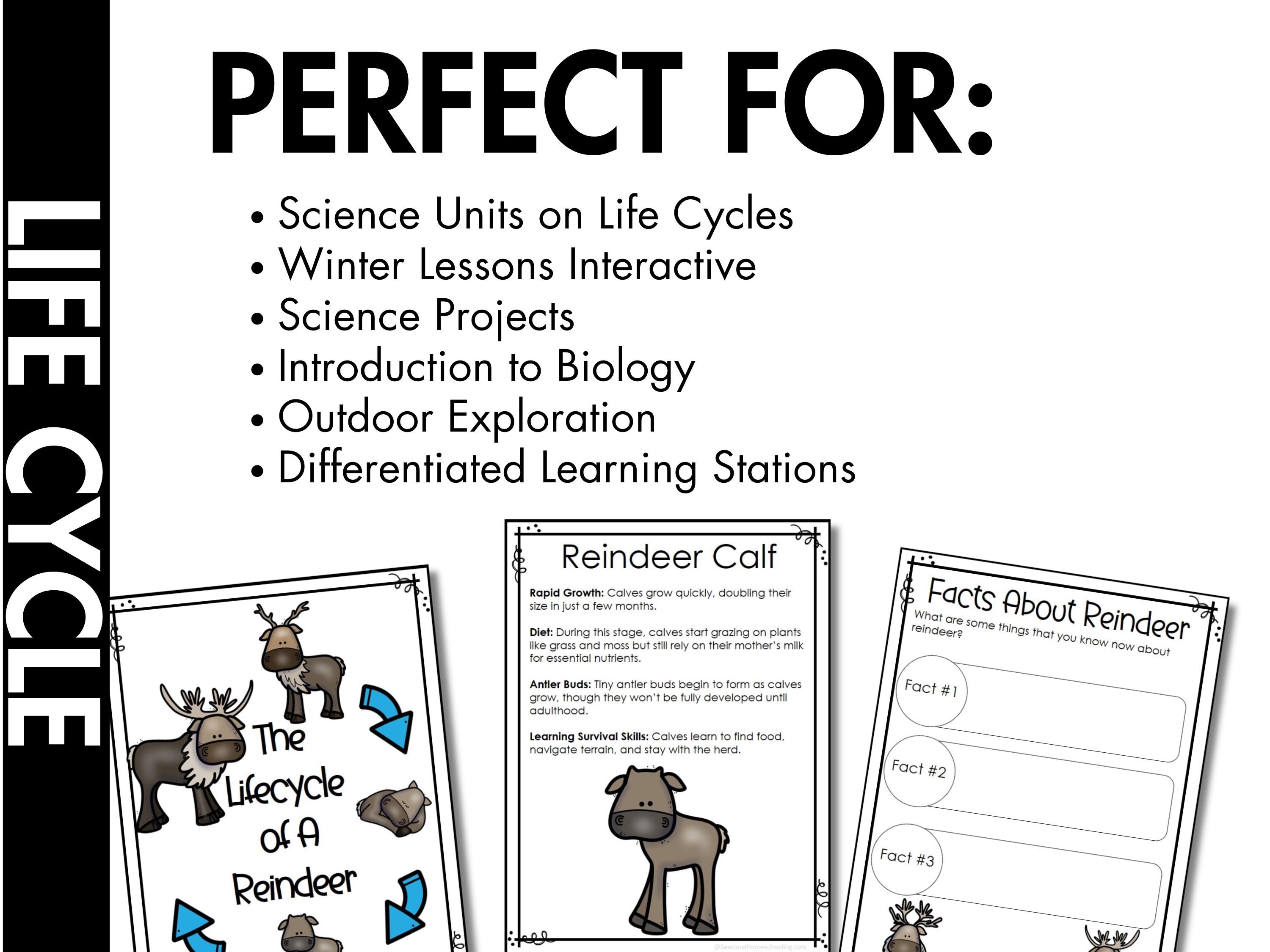 Reindeer Life Cycle Unit | Interactive Science & Writing Activities for ...