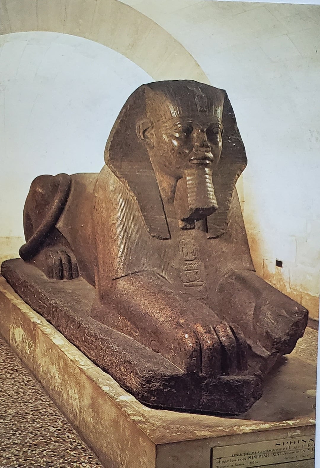 Vintage Egyptian Sphinx at the Louvre, Paris, France - Etsy