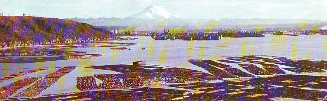 Vintage Tacoma, Washington Post Card - Etsy