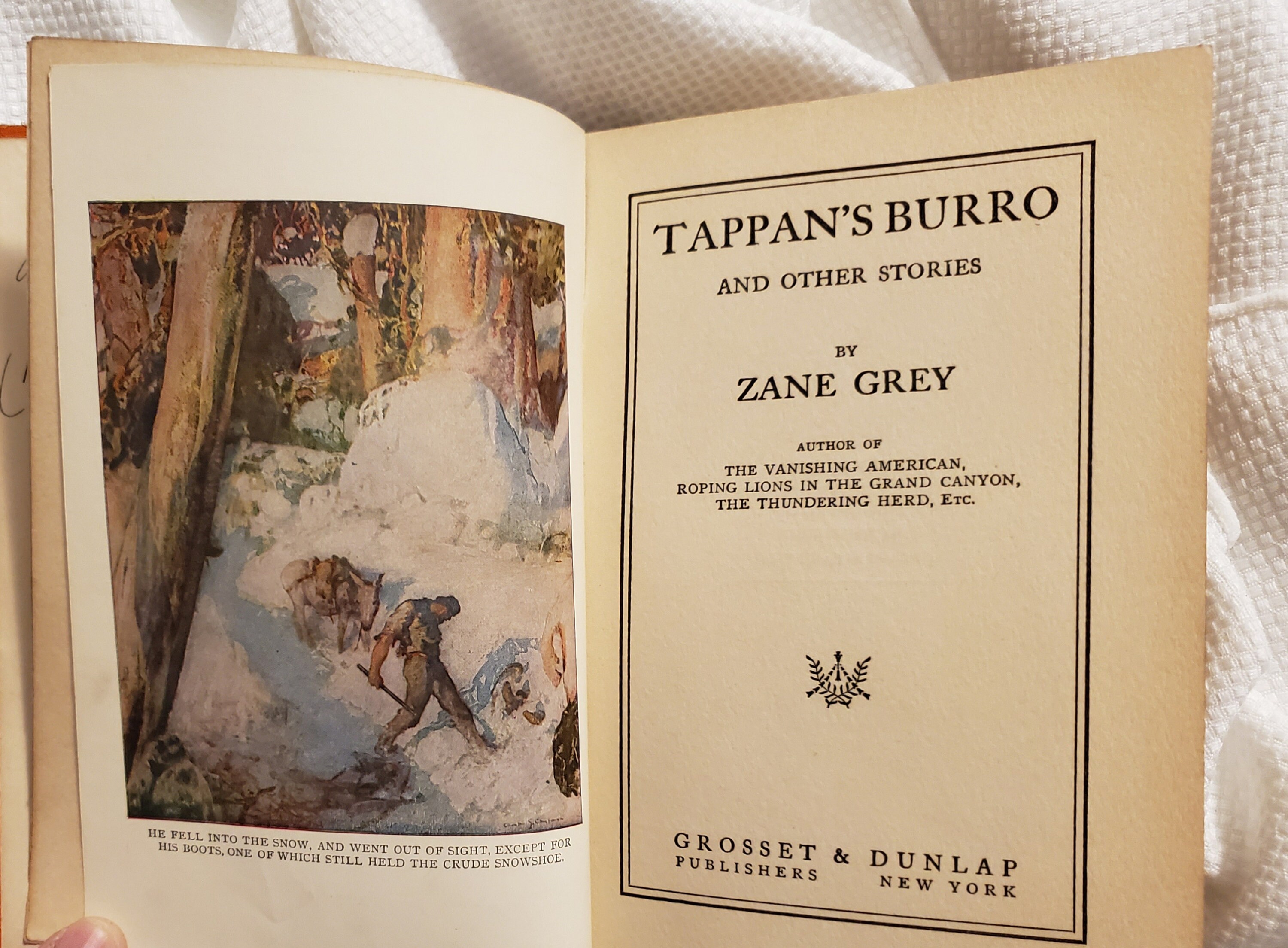 Antique "tappan's Burro" by Zane Grey, 1923, Western Novel - Etsy