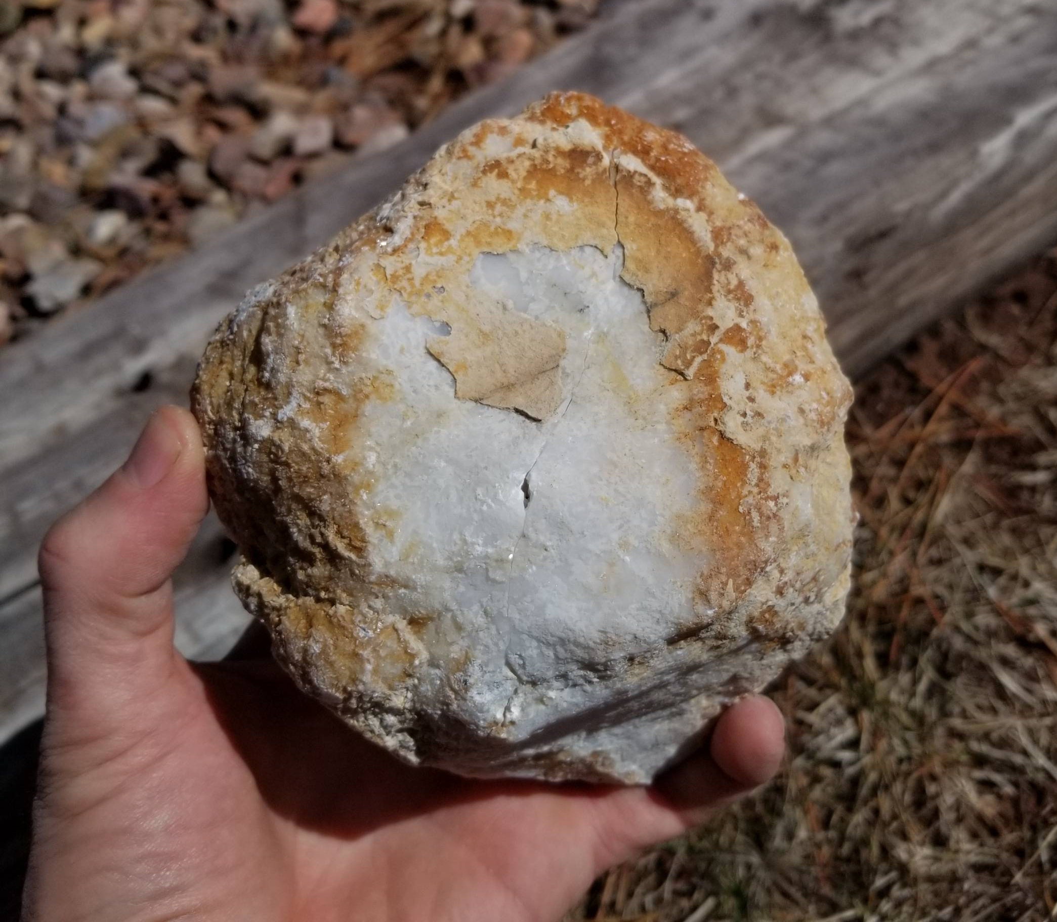 Large Quartz Geode Whole Geode Split in Half Full of | Etsy
