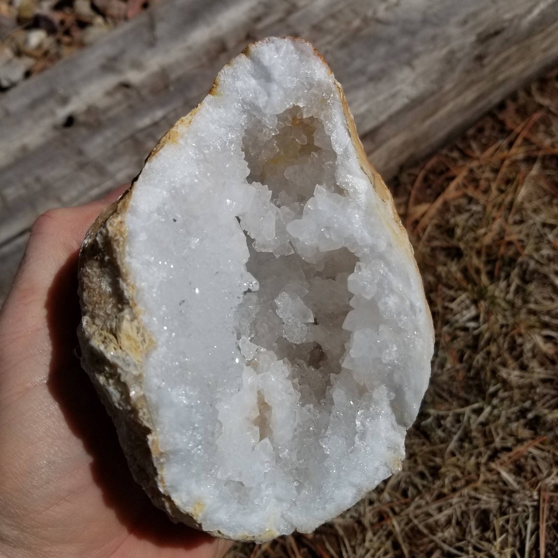 Large Quartz Geode Whole Geode Split in Half Full of | Etsy