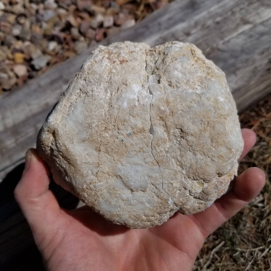 Large Quartz Geode Whole Geode Split in Half Full of | Etsy