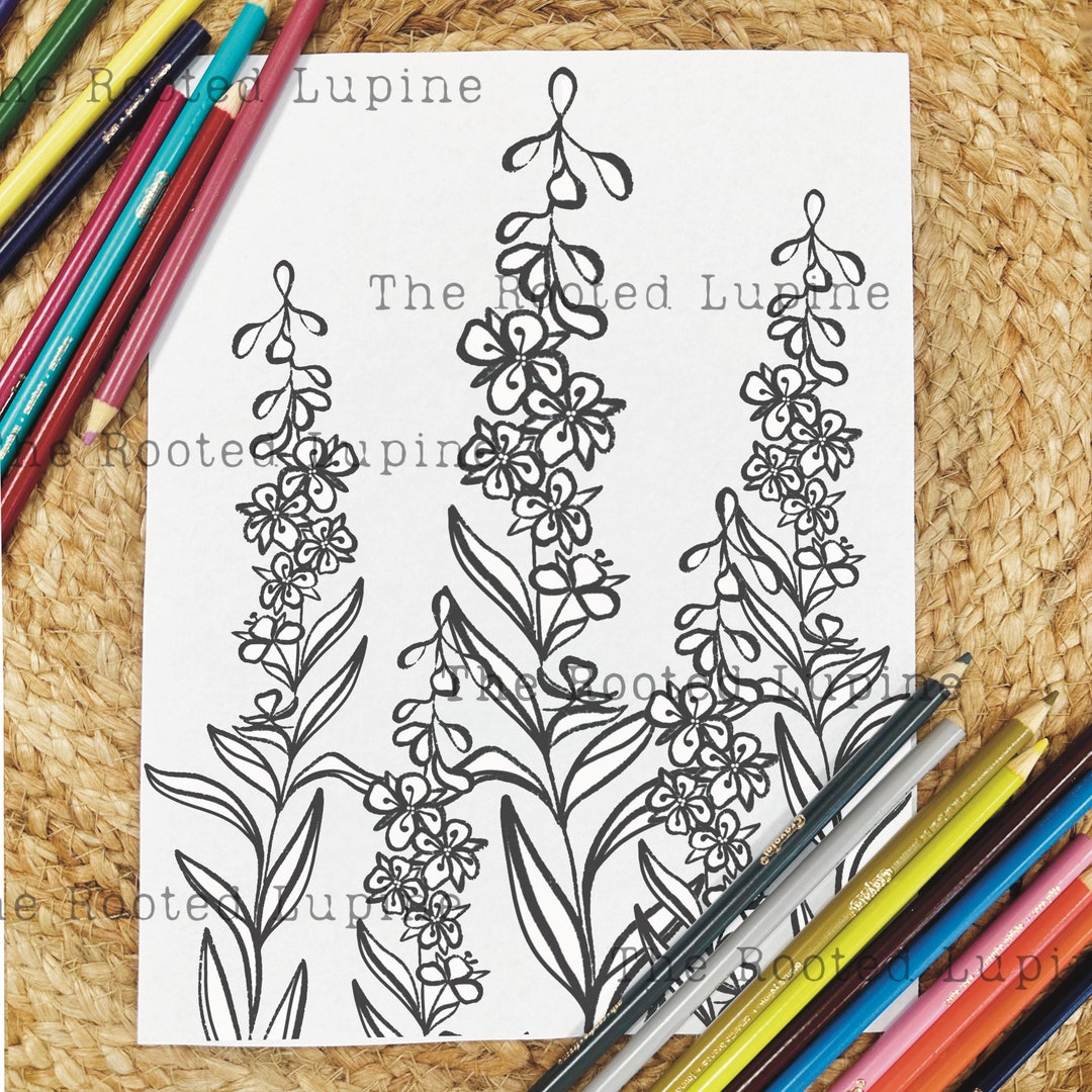 Alaskan Fireweed, Digital Download, Coloring Page, Alaska Coloring Page ...