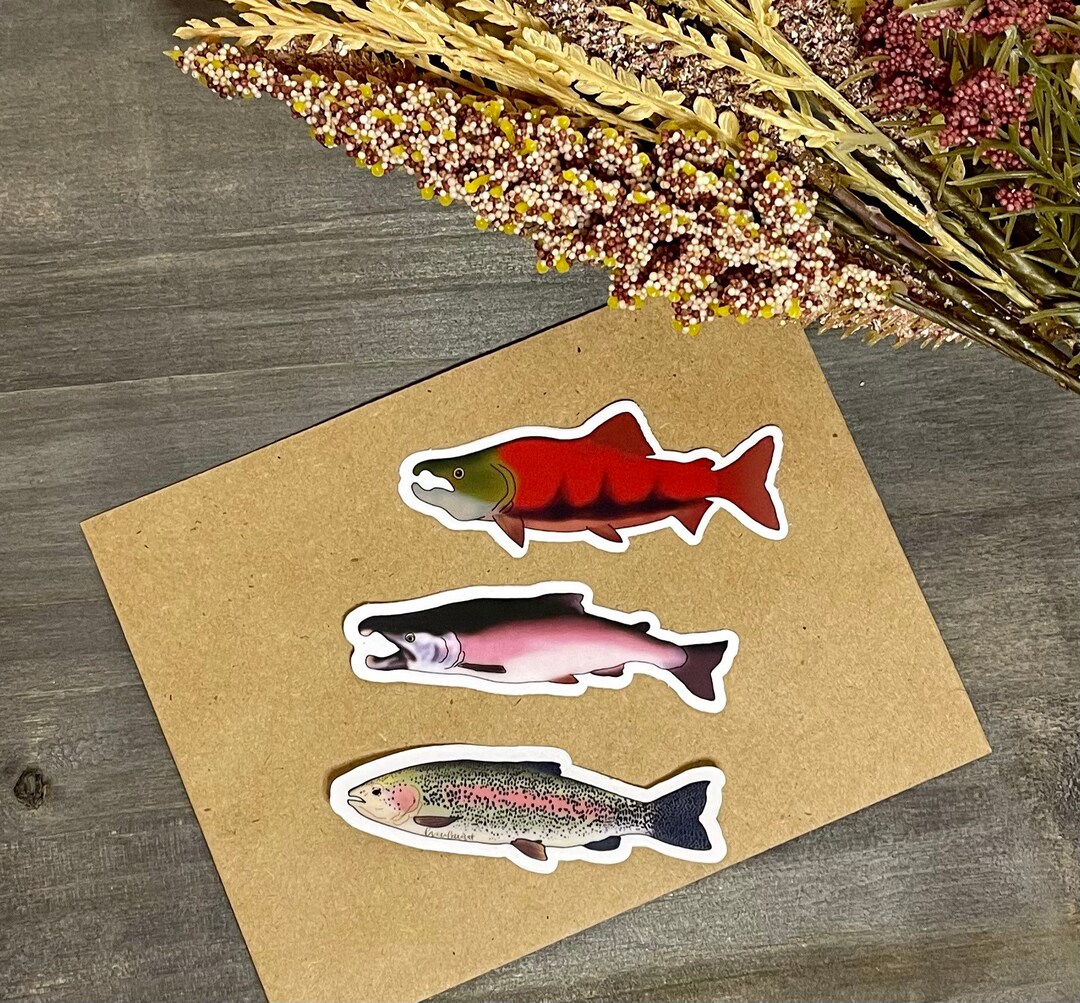 Alaskan Salmon & Trout Stickers | Waterproof Vinyl Sticker | King ...