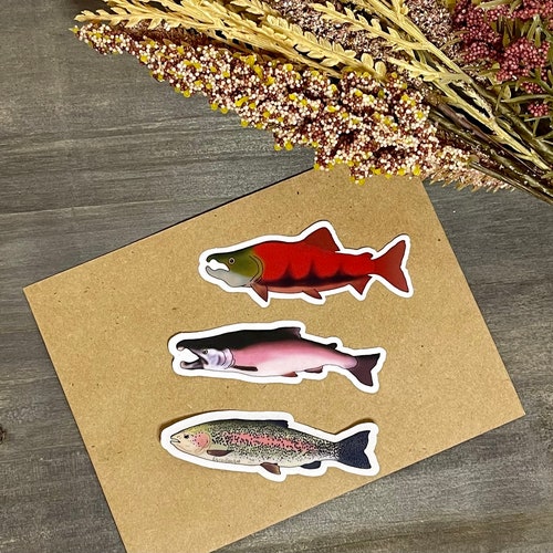 Alaska Salmon Vinyl Sticker - Etsy