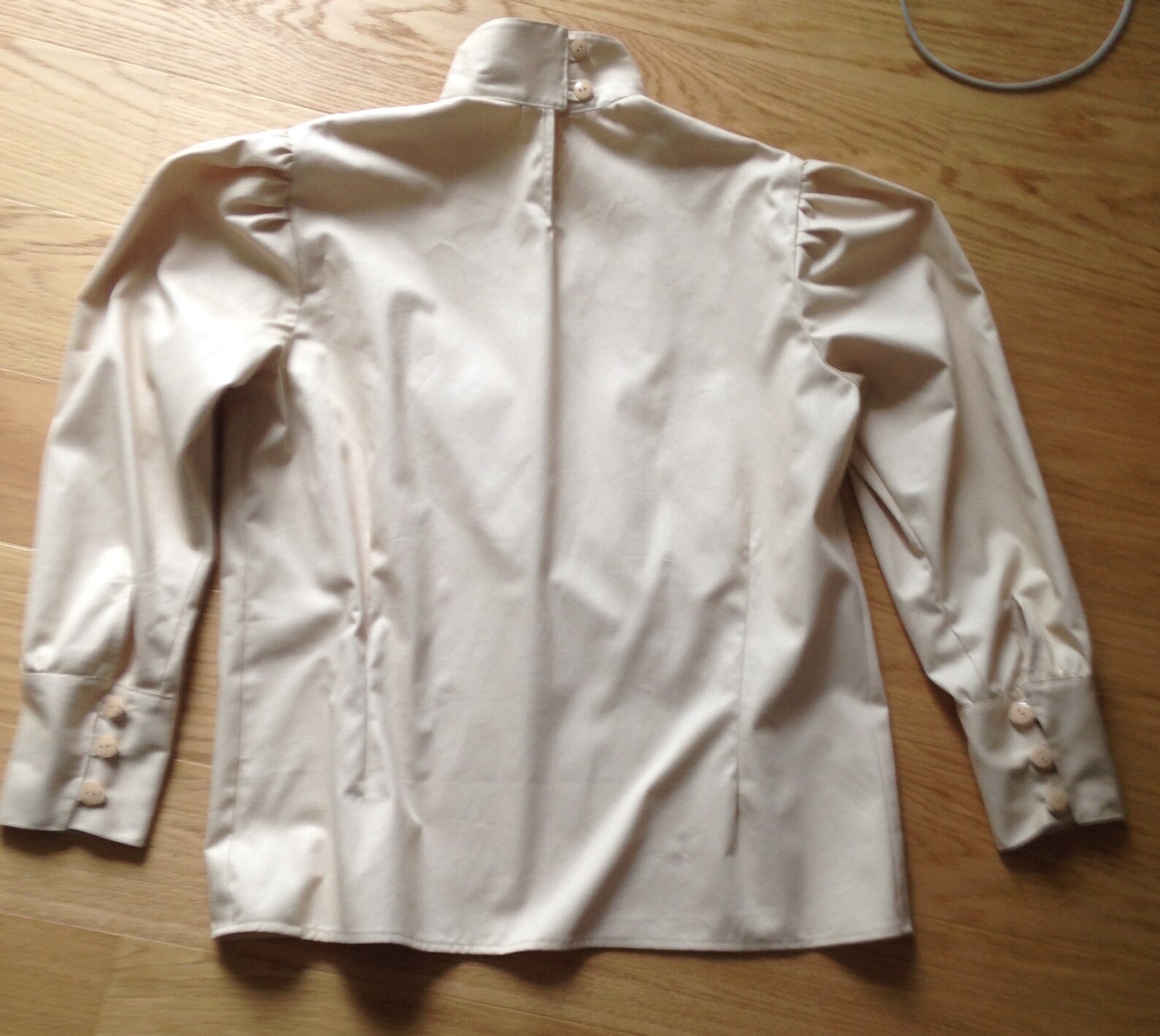 Victorian Style Women Girls Blouse Long Sleeve High Collar Back Closure ...