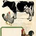 Vintage Farm Homestead Digital Papers, Digital Paper for Junk Journals ...