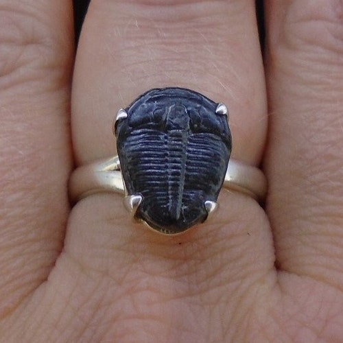 Dainty Fossil Ring - Etsy