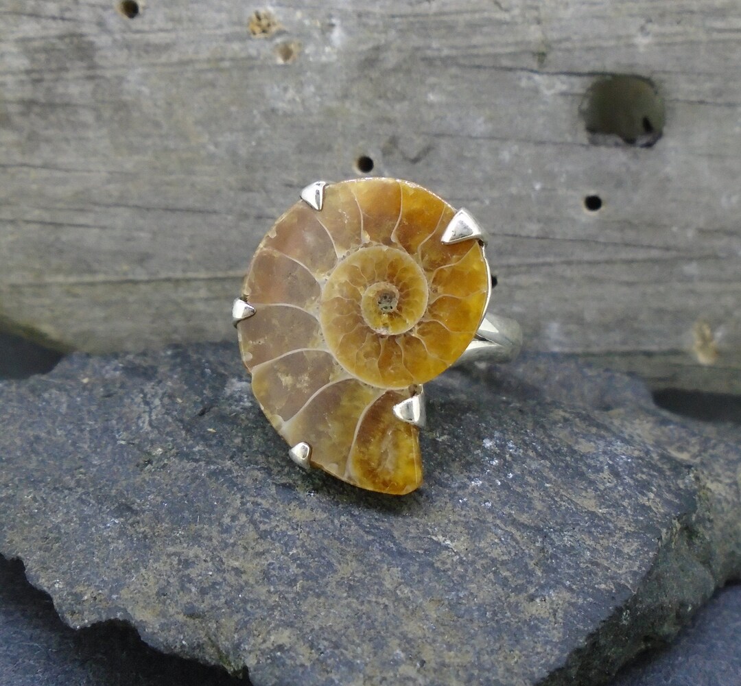 Ammonite Ring - Sterling Silver Adjustable Band, M-R UK Size, Golden ...