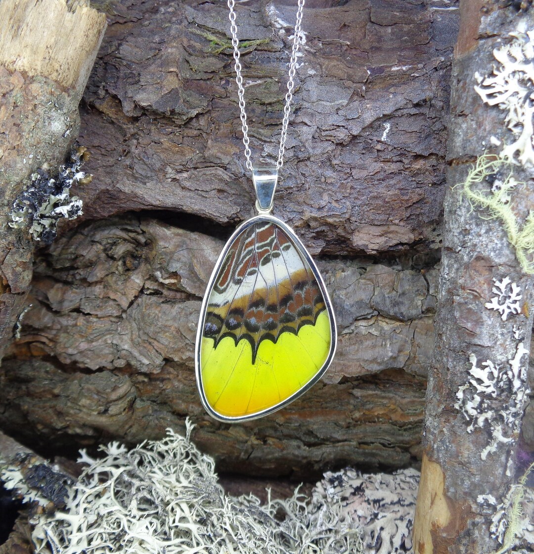 Real Butterfly Wing Pendant – Sterling Silver Ethically Source Peru - Etsy