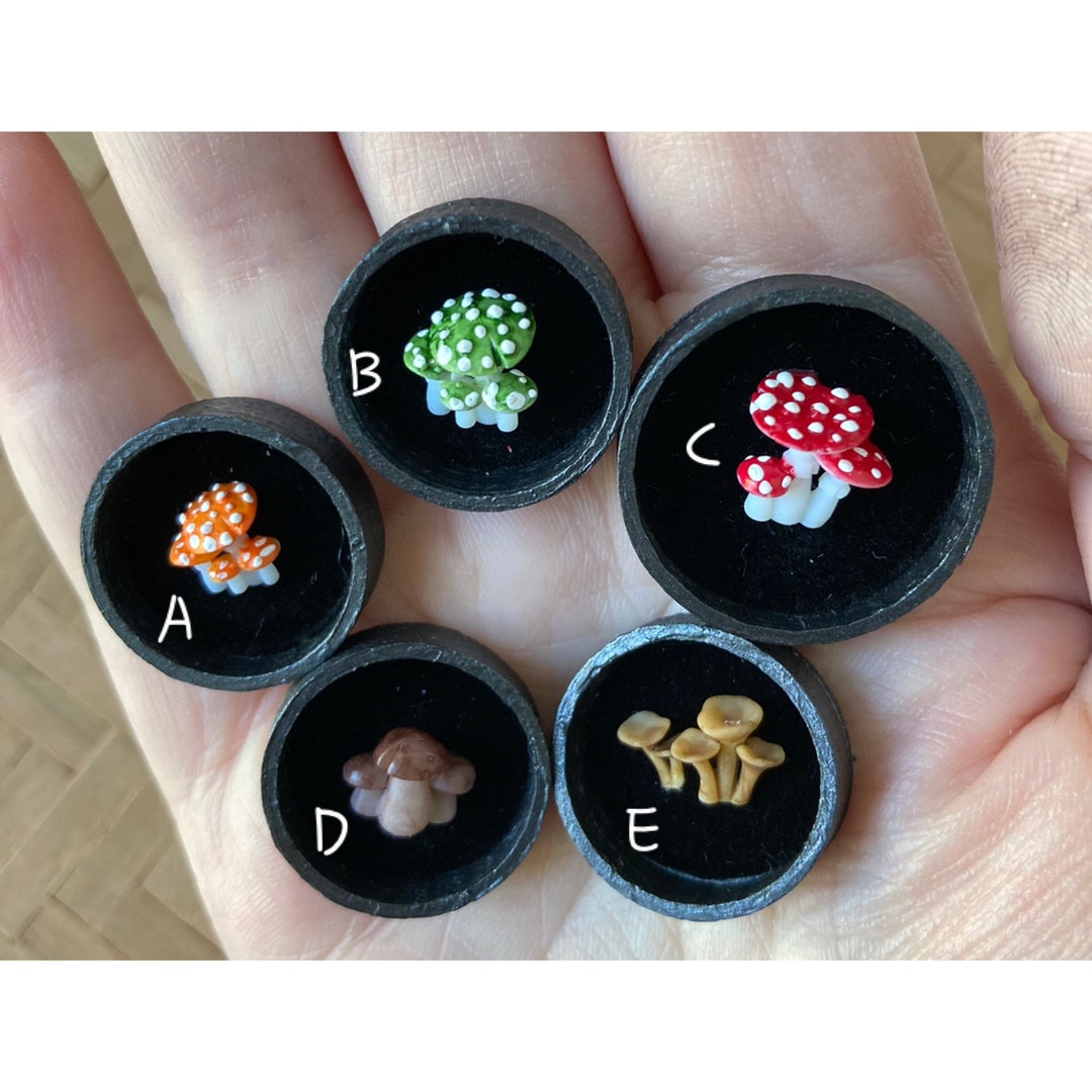 Miniature Mushrooms Specimen Shadow Box for Dollhouse, Roombox ...