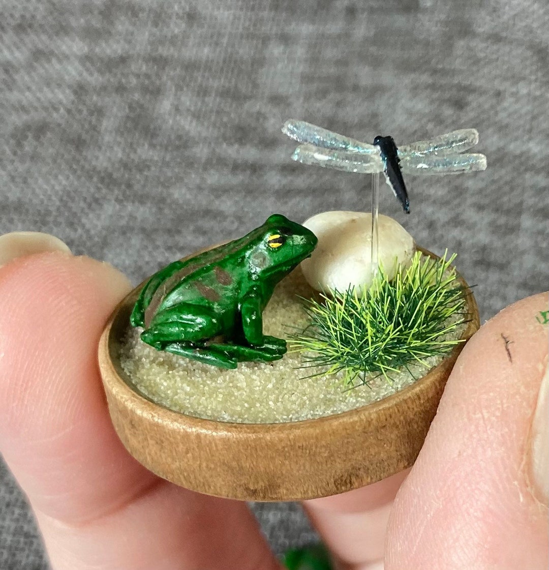 Miniature Pet Frog 1/12 Scale for Dollhouse, Diorama, Vignettes ...