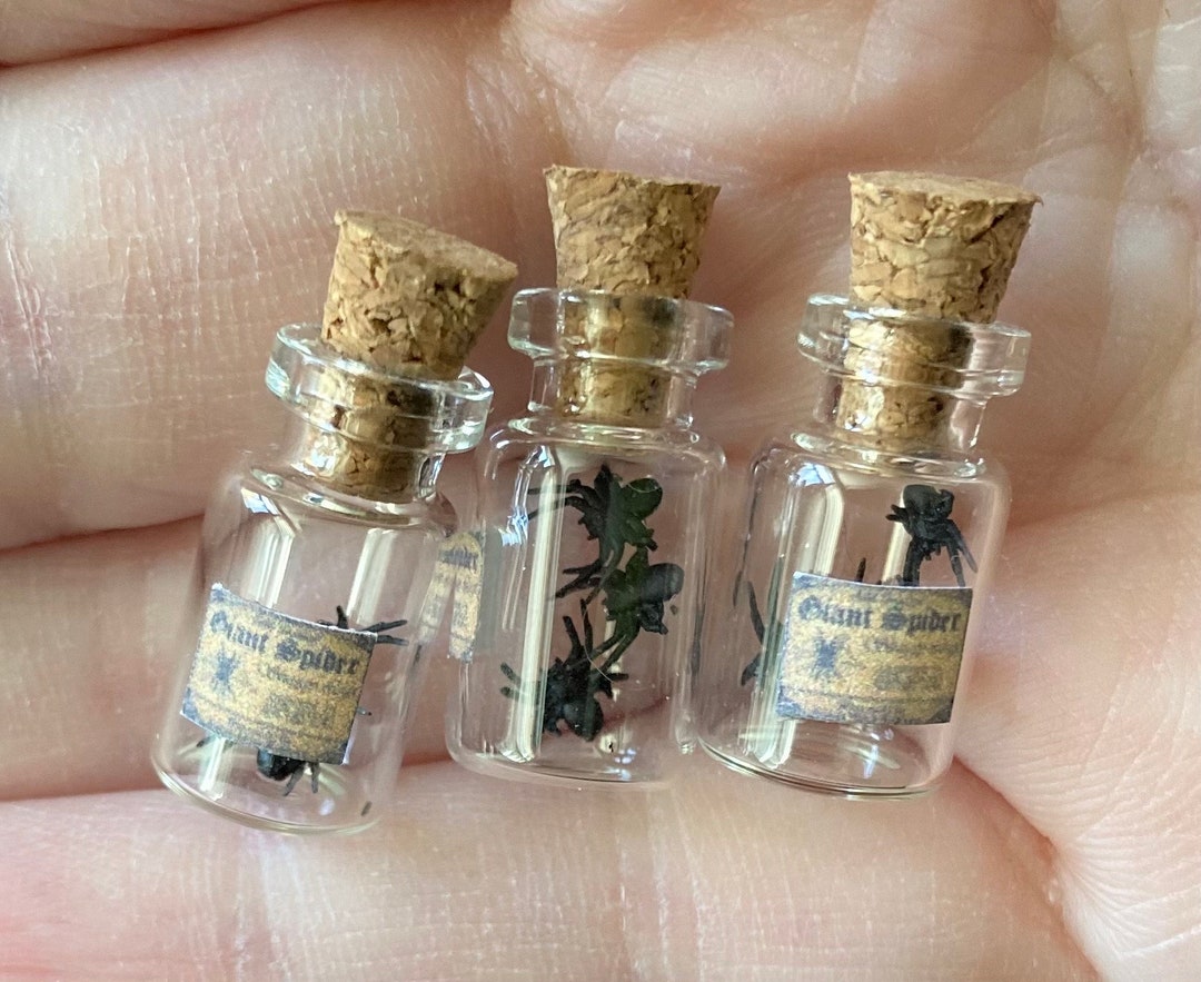 Miniature Spiders, Insect,bugs in a Bottle for Dollhouse, Roombox ...