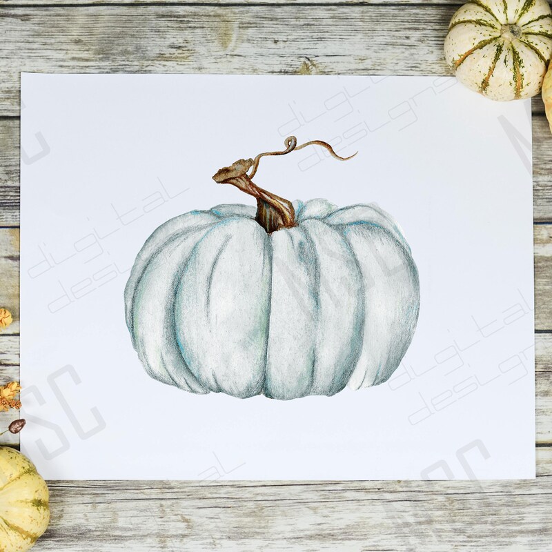Blue Pumpkin Decor - Etsy