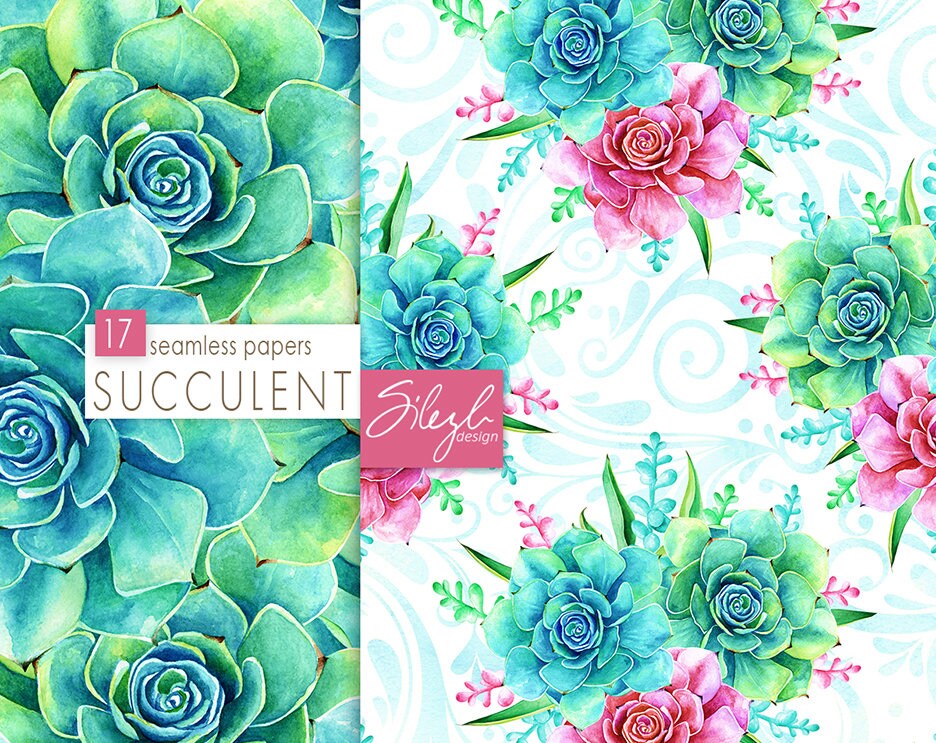 Digital Cactus Paper Watercolor Succulent Papers Seamless - Etsy